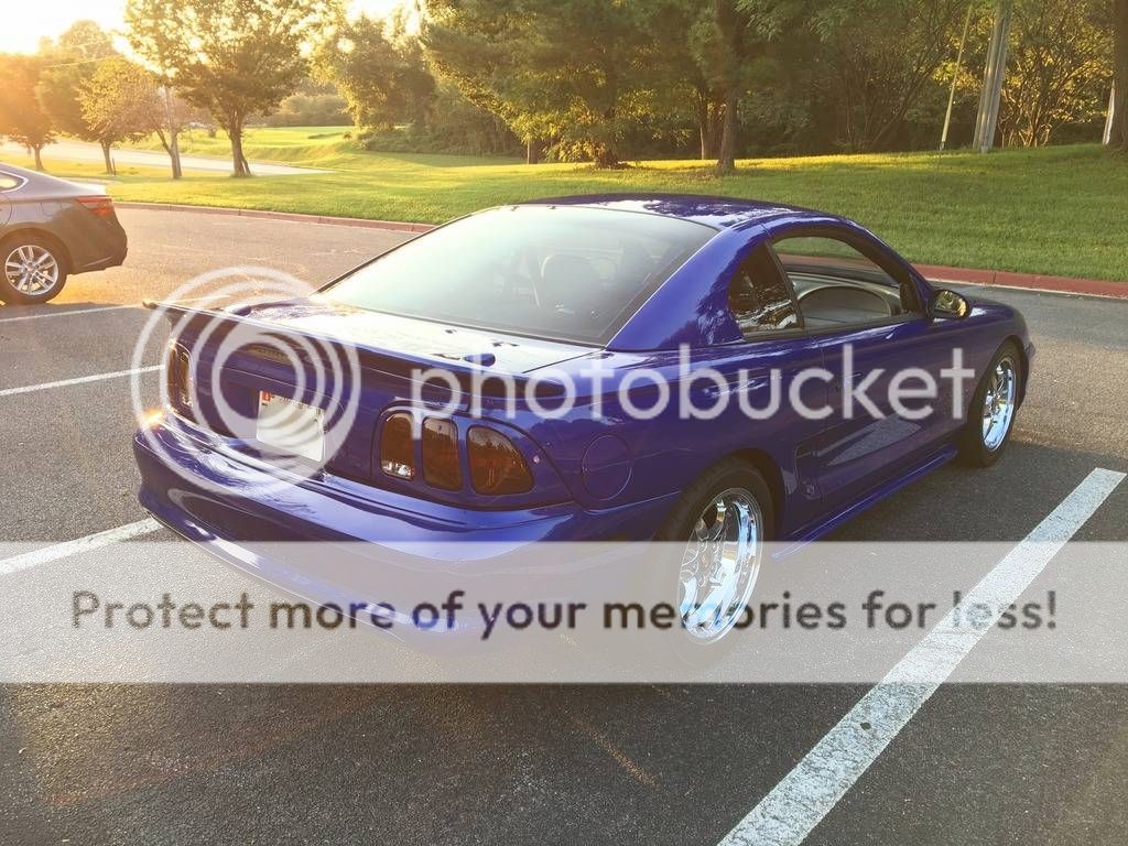 1994 Ford Mustang "Cobra" SN95 for sale
