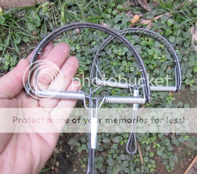 1X VTG RAT TRAPS RODENT BAITS STRONG SNAP SNARE PEST CONTROL TRAPPING ...